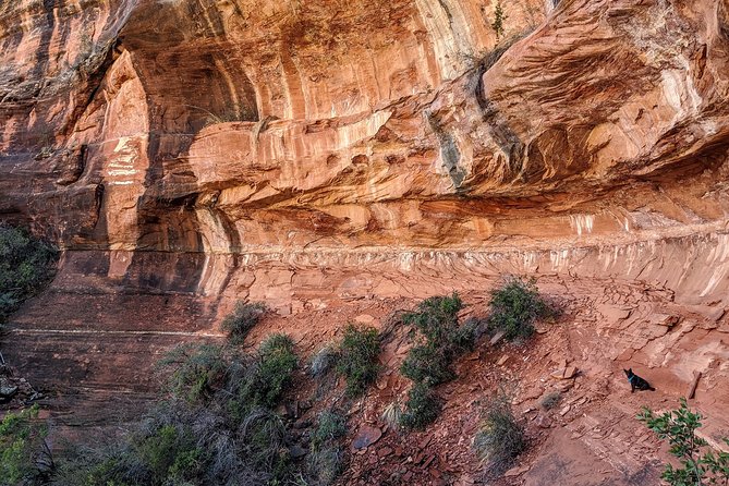 PRIVATE Sedona Scenic Full-Day in Luxury SUV Tour - The Best Fit: Who Should Book This Tour?