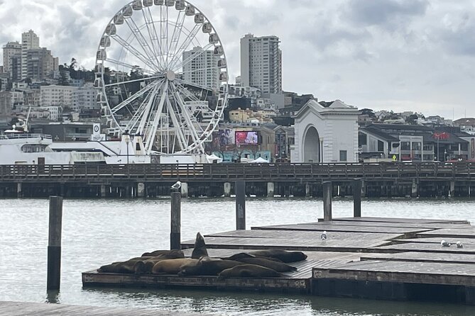 Private SF Highlights & Stanford Shopping Tour - Authentic Insights from Past Reviewers