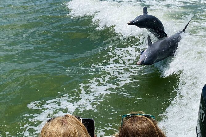 Private Shelling and Dolphin Excursion - In-Depth Look at the Tour Experience