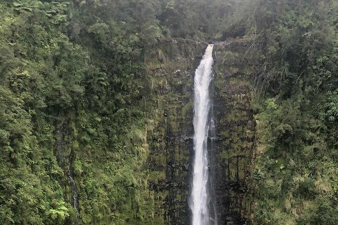 PRIVATE Shore Excursion - 'Best of Hilo and Hamakua coast - The Sum Up