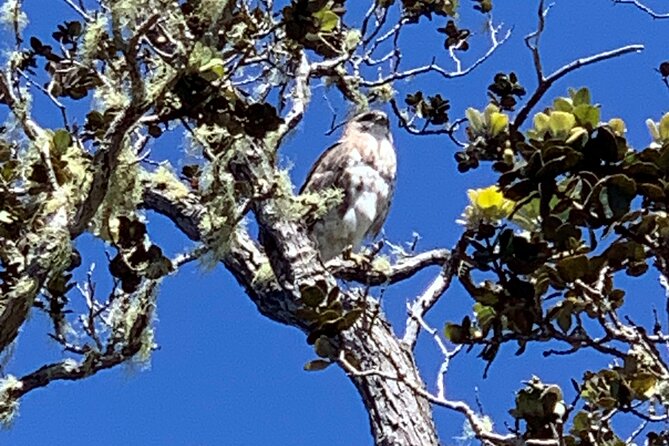 PRIVATE Shore Excursion - 'Best of Hilo and Hamakua coast - FAQ