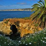 Private Shuttled Coastal Gems Scenic Customizable Tour - Why This Tour Works Well