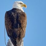 Private Snake River Scenic Float with Teton Views - Who Will Love This Tour?