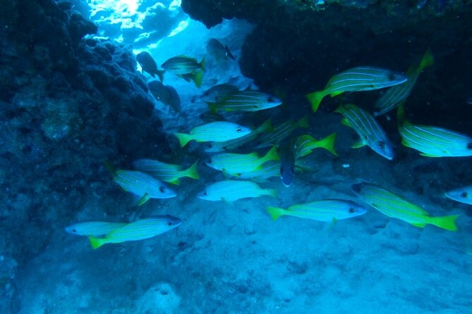 Private Snorkel Excursions in Lahaina, Maui - The Itinerary: What to Expect from Start to Finish
