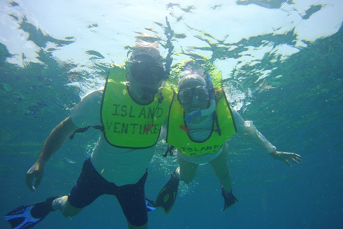 Private Snorkel to Key Largo Reef for up to 12 - INCLUDES GEAR! - Why This Tour is Worth Considering
