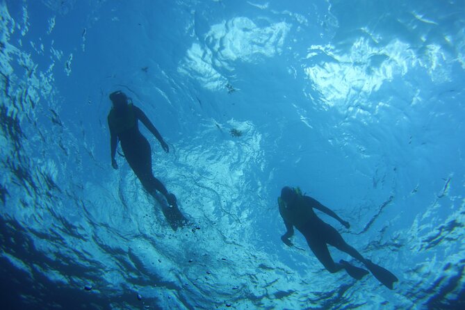 Private Snorkel to Key Largo Reef for up to 12 - INCLUDES GEAR! - FAQ