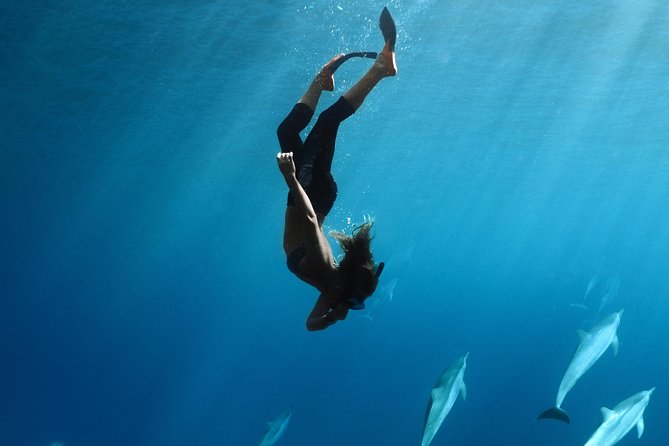 Private Snorkel Tour 3 Hrs 1 stop from Kaanapali Beach - Introduction