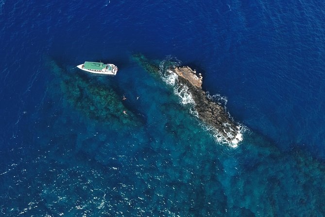 Private Snorkel Tour 3 Hrs 1 stop from Kaanapali Beach - Key Points