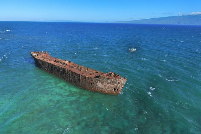 Private Snorkel Tour 3 Hrs 1 stop from Kaanapali Beach - What You Can Expect from the Tour