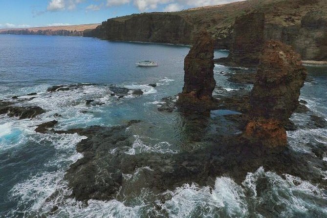 Private Snorkel Tour 3 Hrs 1 stop from Kaanapali Beach - Deep Dive into the Experience