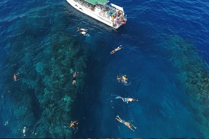 Private Snorkel Tour 3 Hrs 1 stop from Kaanapali Beach - Final thoughts