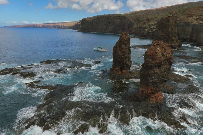 Private Snorkel Tour 3 Hrs 1 stop from Kaanapali Beach - Final Summary
