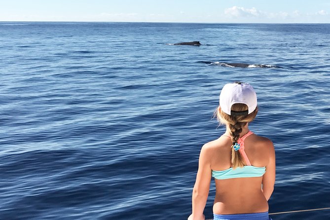 Private Snorkel Trip from Oahu on a Yacht - The Itinerary Breakdown: A Day in the Life on the Water