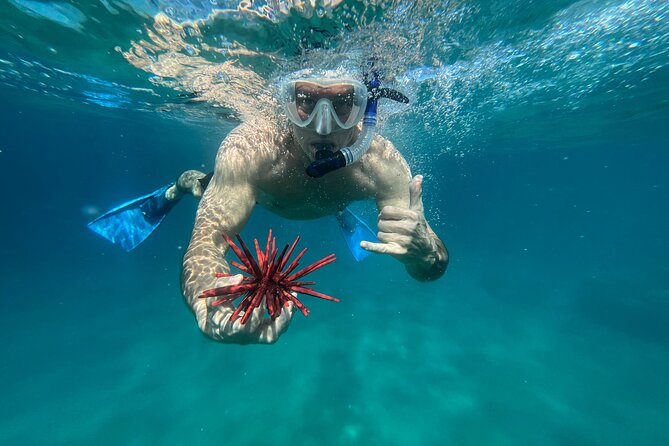 Private Snorkel with Beach Set-Up - Unpacking the Tour Experience