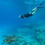 Private Snorkel with Beach Set-Up - The Authentic Maui Marine Encounter: What Reviewers Say