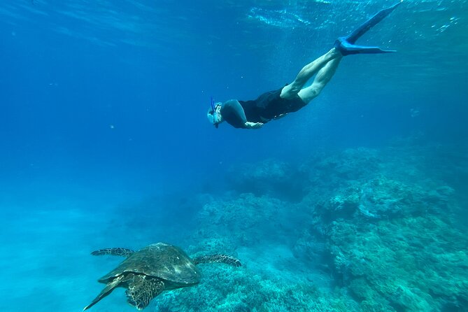 Private Snorkel with Beach Set-Up - The Authentic Maui Marine Encounter: What Reviewers Say
