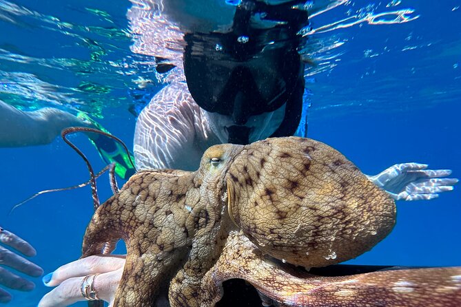 Private Snorkel with Beach Set-Up - Practical Details and Tips