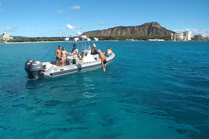 Private Snorkeling and Wildlife on The Adventure Boat - The Itinerary and What You Can Expect