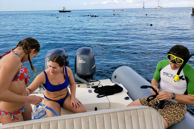 Private Snorkeling and Wildlife on The Adventure Boat - The Value Perspective