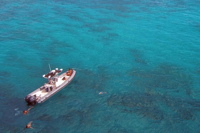 Private Snorkeling and Wildlife on The Adventure Boat - FAQ