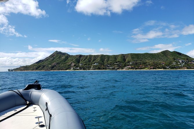 Private Snorkeling and Wildlife on The Adventure Boat - Final Thoughts