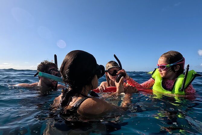 Private Snorkeling Cruise in Waikiki - Introduction