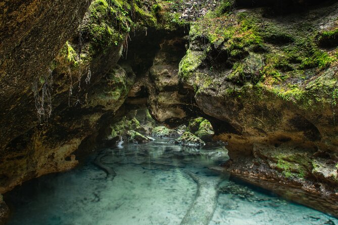 Private Snorkeling Expedition in the Florida Springs - An In-Depth Look at the Florida Springs Private Tour