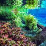 Private Snorkeling Expedition in the Florida Springs - Practical Details That Matter