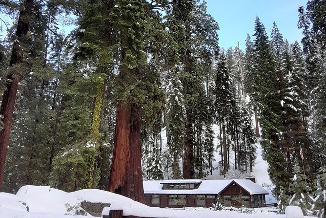 Private Snowshoe Adventure - Sequoia National Park - What to Expect from Your Snowshoe Adventure