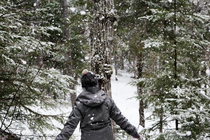 Private Snowshoeing Adventure from Badger Pass to Dewey Point - Why Choose the Private Snowshoeing Adventure in Yosemite?