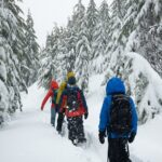 Private Snowshoeing Adventure from Badger Pass to Dewey Point - The Itinerary: A Step-by-Step Look