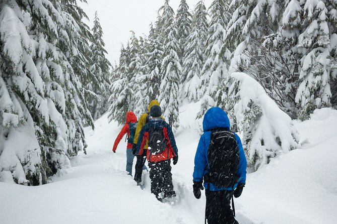 Private Snowshoeing Adventure from Badger Pass to Dewey Point - The Itinerary: A Step-by-Step Look
