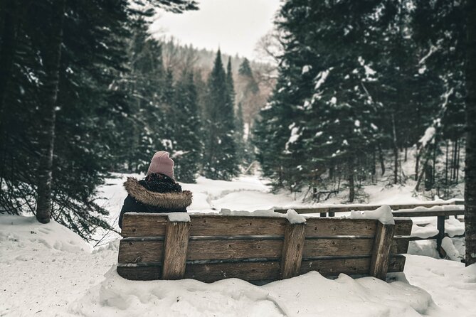 Private Snowshoeing Adventure from Badger Pass to Dewey Point - The Experience: What Travelers Say