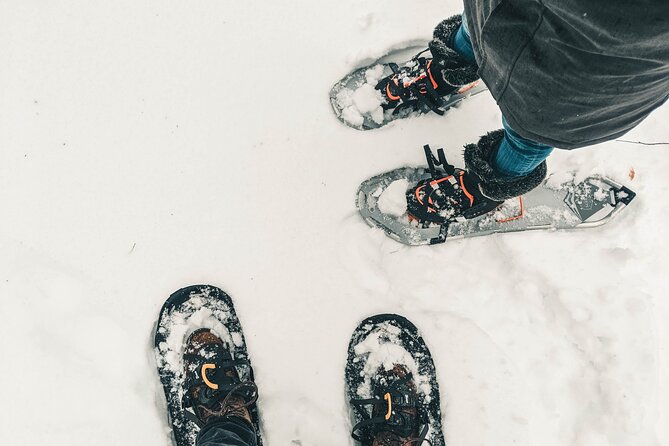 Private Snowshoeing Adventure from Badger Pass to Dewey Point - FAQ
