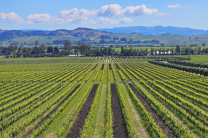 Private Sprinter Tour of Napa Valley - Key Points