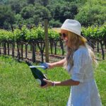 Private Sprinter Tour of Napa Valley - Final Thoughts on This Napa & Sonoma Private Tour