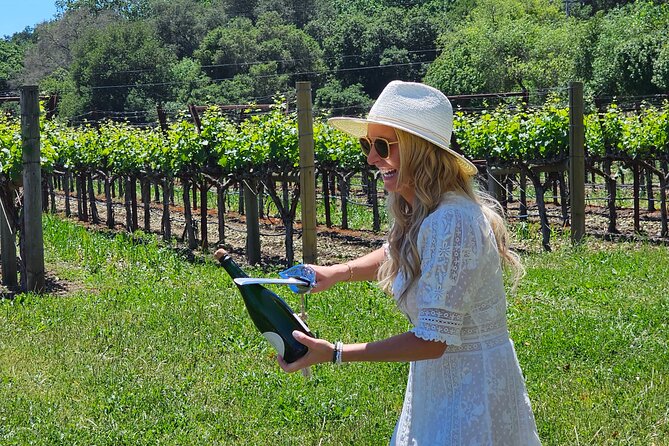 Private Sprinter Tour of Napa Valley - Final Thoughts on This Napa & Sonoma Private Tour