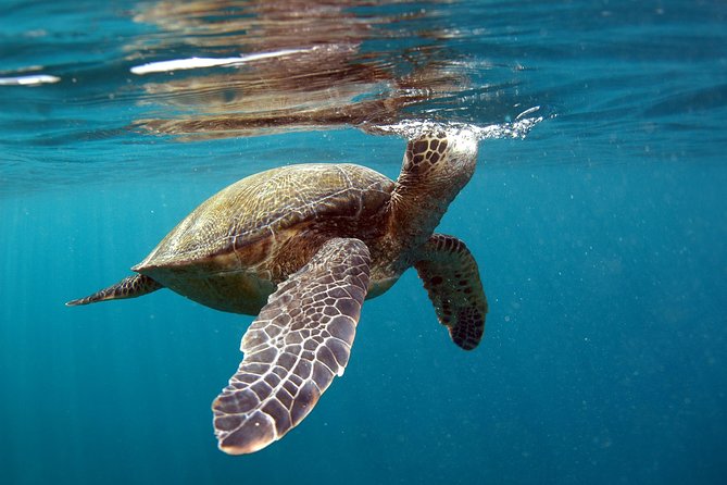 Private Stand Up Paddling Lesson in Makena - The Itinerary in Detail