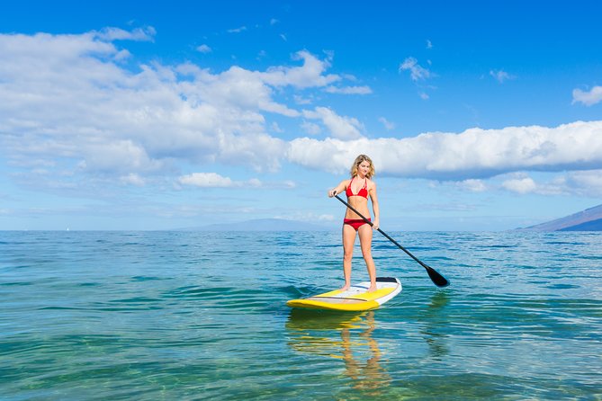 Private Stand Up Paddling Lesson in Makena - Why This Tour Offers Great Value