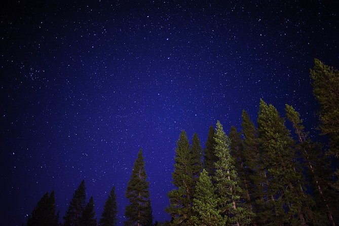 Private Stargazing - Sequoia National Park - Who Should Consider This Tour?