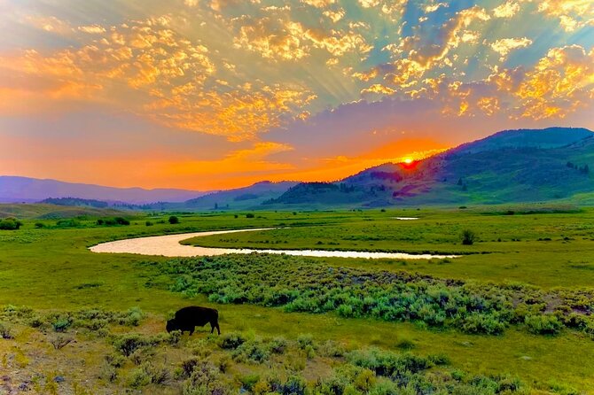 Private Sunrise Wildlife Adventure Into Yellowstone Lamar Valley - Final Thoughts: Who Will Love This Experience?