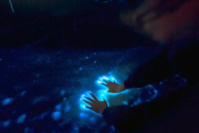 Private Sunset and Bioluminescence Tours in Cocoa Beach - What is the Bioluminescence Tour in Cocoa Beach?