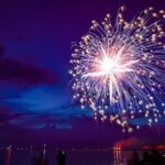 Private Sunset and Fireworks Dolphin Tour (6 people max) - What to Expect from Your Hilton Head Dolphin Tour