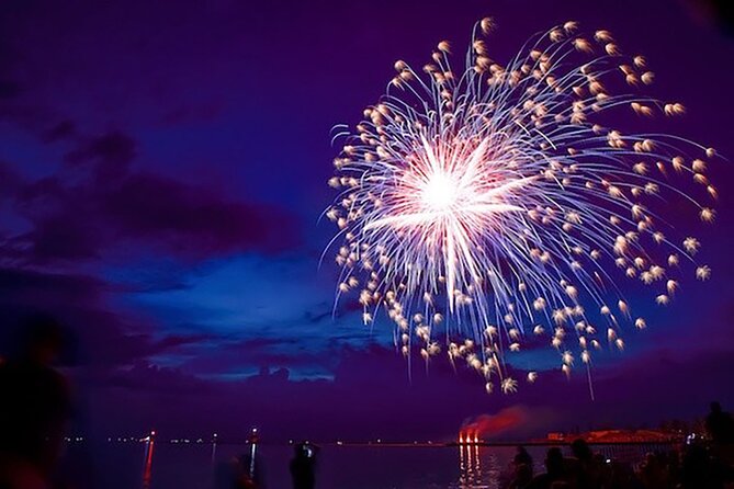 Private Sunset and Fireworks Dolphin Tour (6 people max) - What to Expect from Your Hilton Head Dolphin Tour