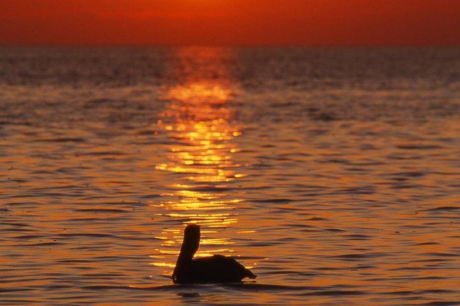 Private Sunset Cruise South Padre Island - Who Will Love This Experience?