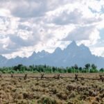 Private Sunset Safari of Grand Teton National Park - The Practicalities: What’s Included and What’s Not