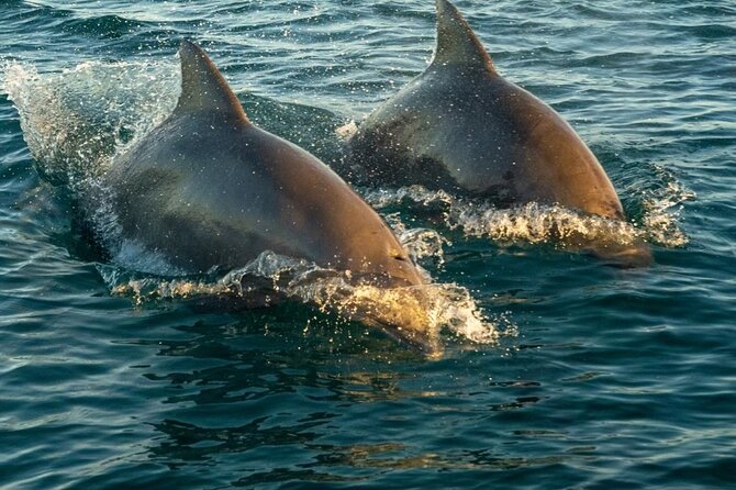 Private Sunset Sail in Key West Florida - Starting Point and Timing