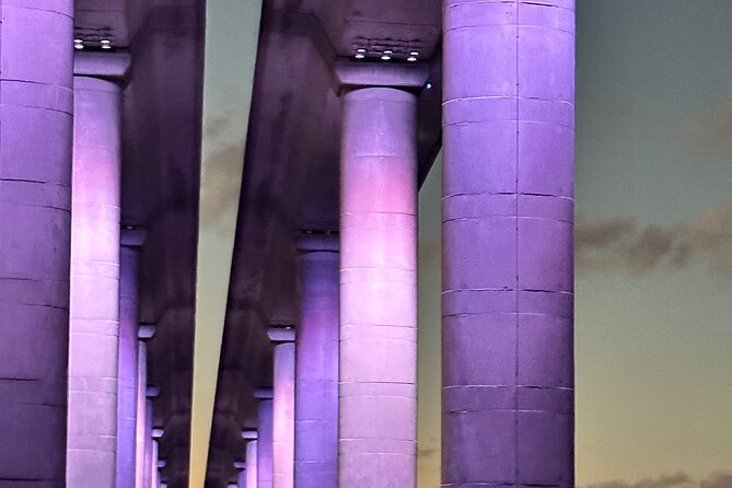 Private Sunset & Skyway Bridge Lights Tour in St. Petersburg, FL - Authentic Insights from Reviewers