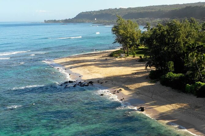 Private Surf Lesson for 3-5 People in North Shore Oahu - Key Points