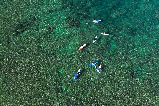 Private Surf Lesson for 3-5 People in North Shore Oahu - What to Expect from the Tour